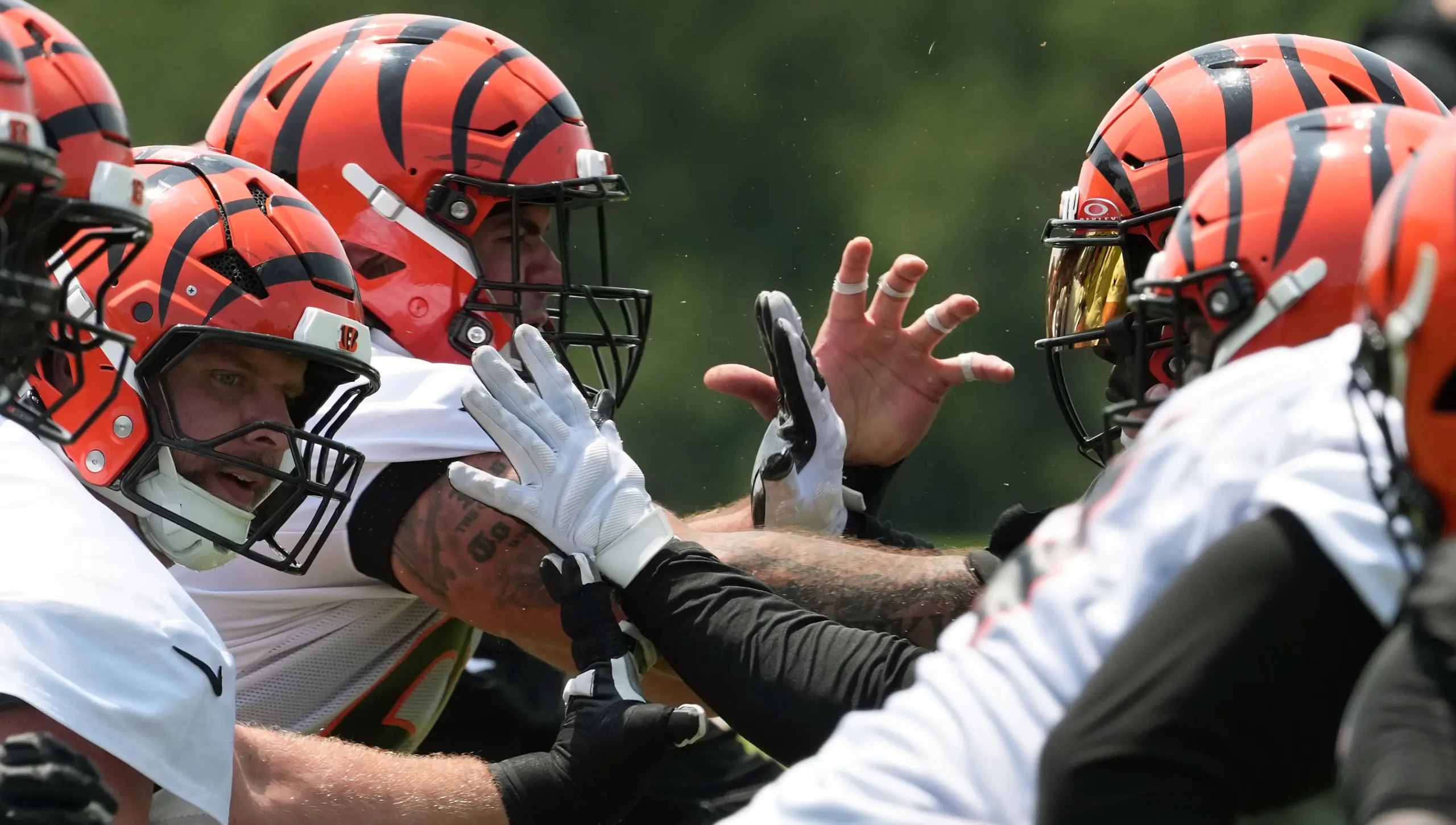 Threads bokep bocil she told me that they offer other